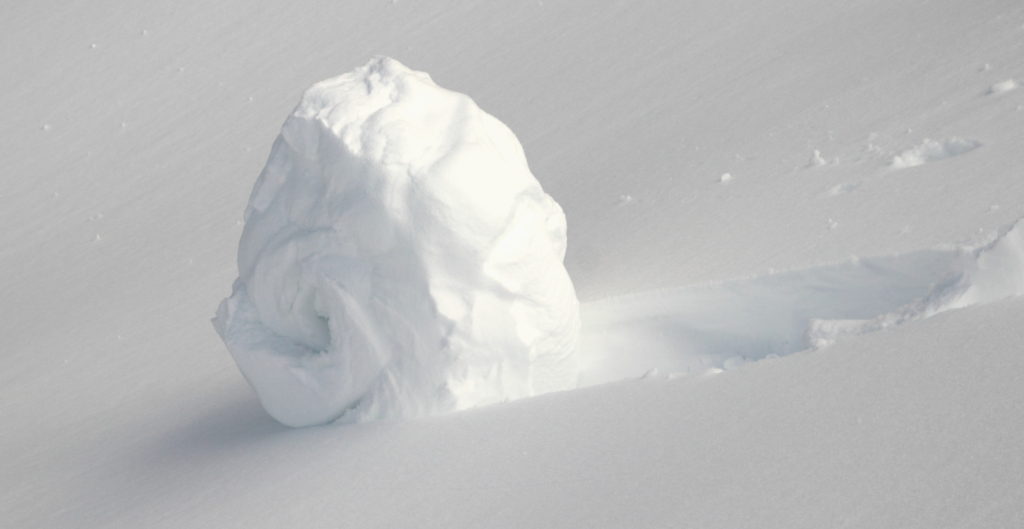 What is a subluxation? - Practice Evolution Program